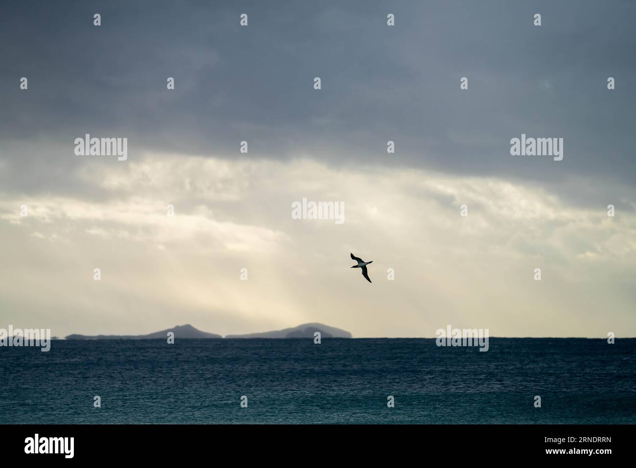 beautiful australian beach with waves and island at dusk Stock Photo ...