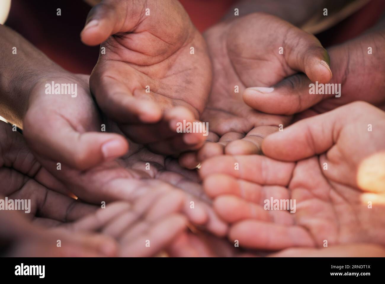 Hands, palm and diversity of people in circle for charity, ngo and ...