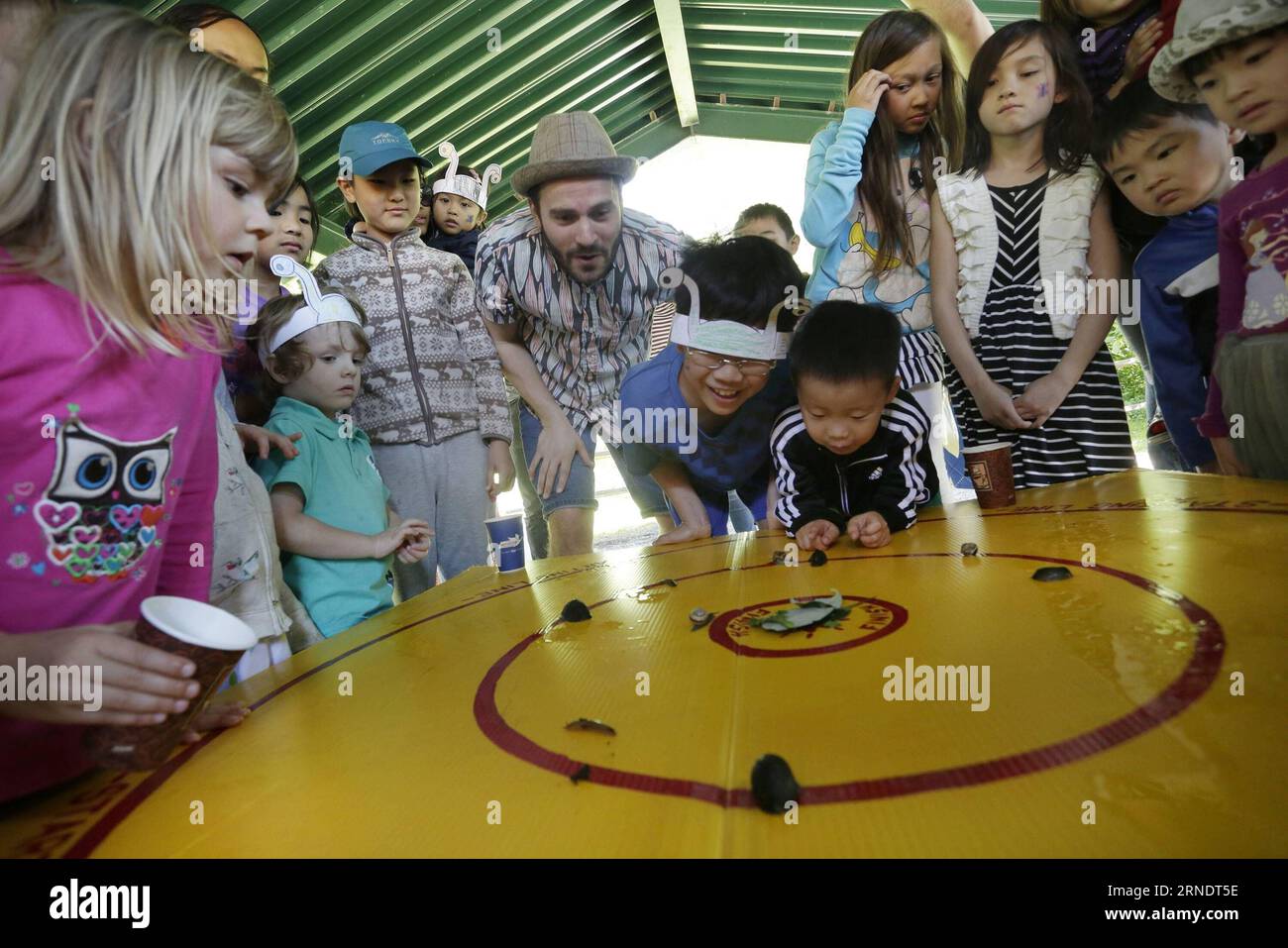 Schneckenrennen hi-res stock photography and images - Alamy