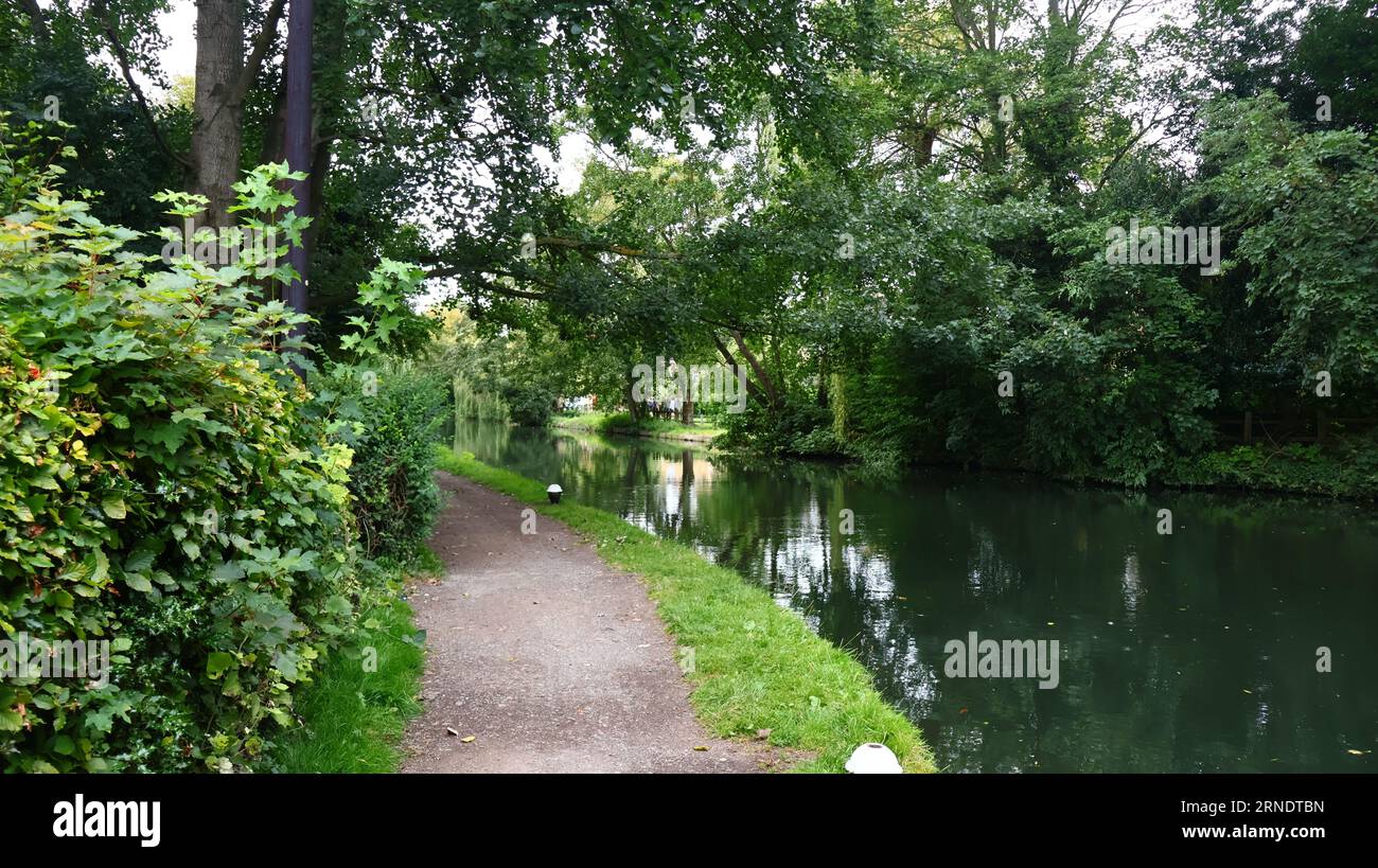 A scenic pathway with lush greenery, winding along a tranquil pond ...