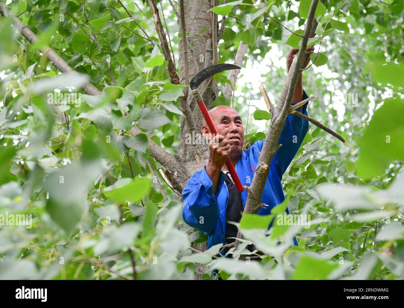 Armloser hi-res stock photography and images - Alamy