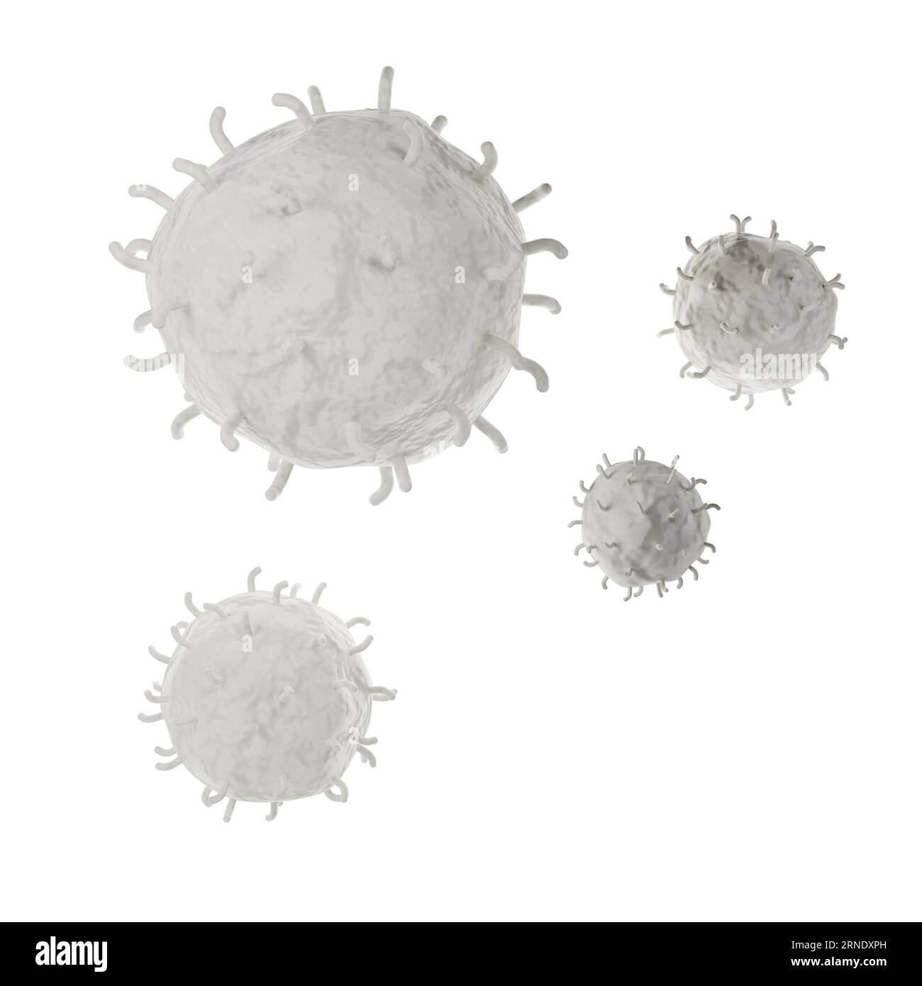 White blood cell 3d realistic icon analysis. Leukocytes medical ...