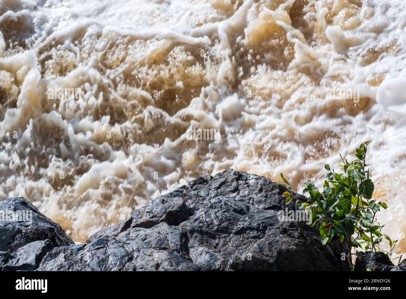 muddy turbulent stream under a rock during high water Stock Photo - Alamy