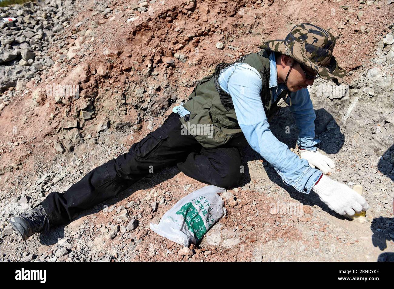 100 million years ago hi-res stock photography and images - Alamy