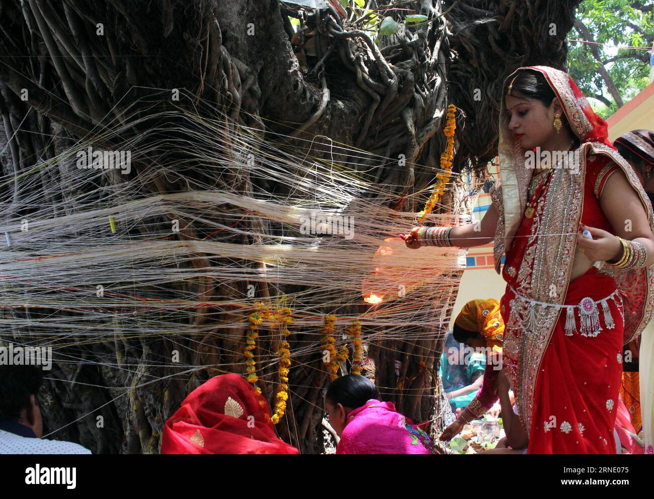 Banyan tree puja hi-res stock photography and images - Alamy
