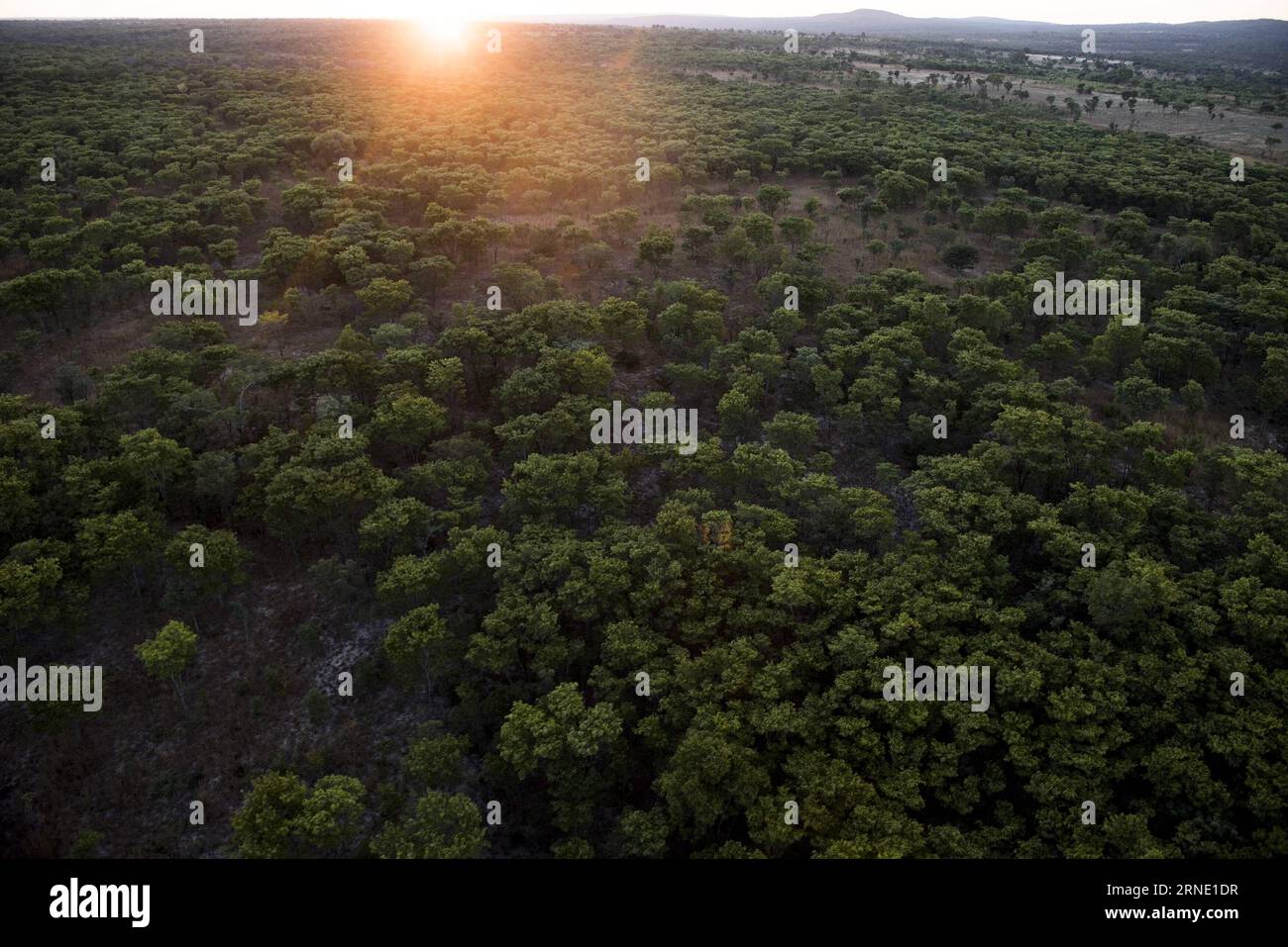 Zimbabwe angola hi-res stock photography and images - Alamy
