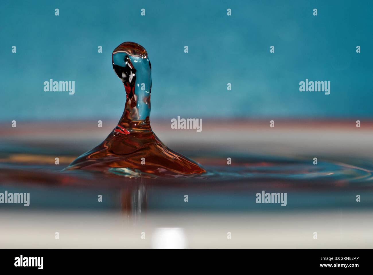 Water droplet impact water surface and make lovely water column. Water ...