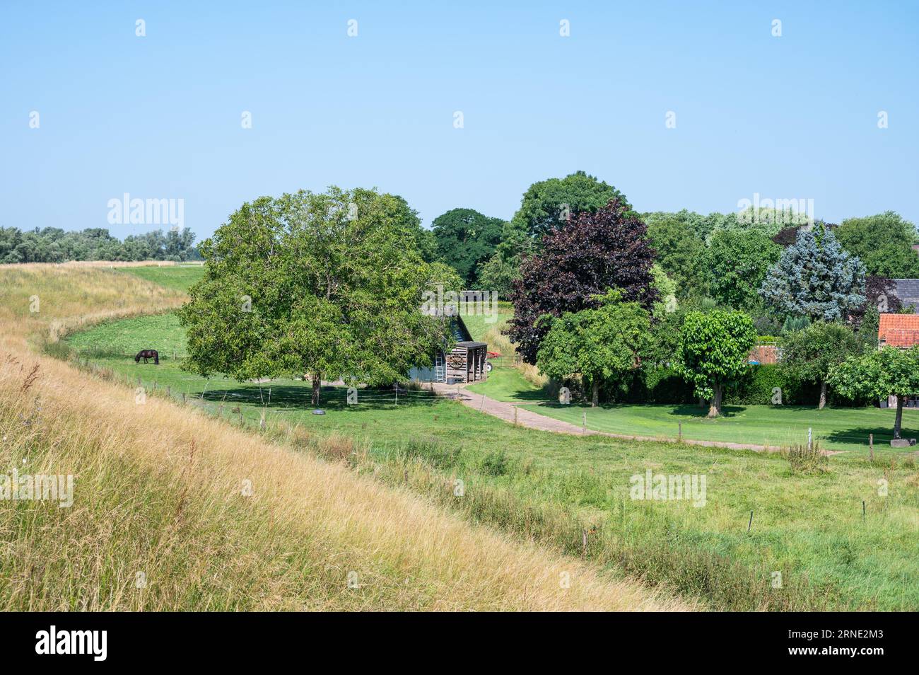 Green surroundings of the dyke at the river Waal natural reserve ...