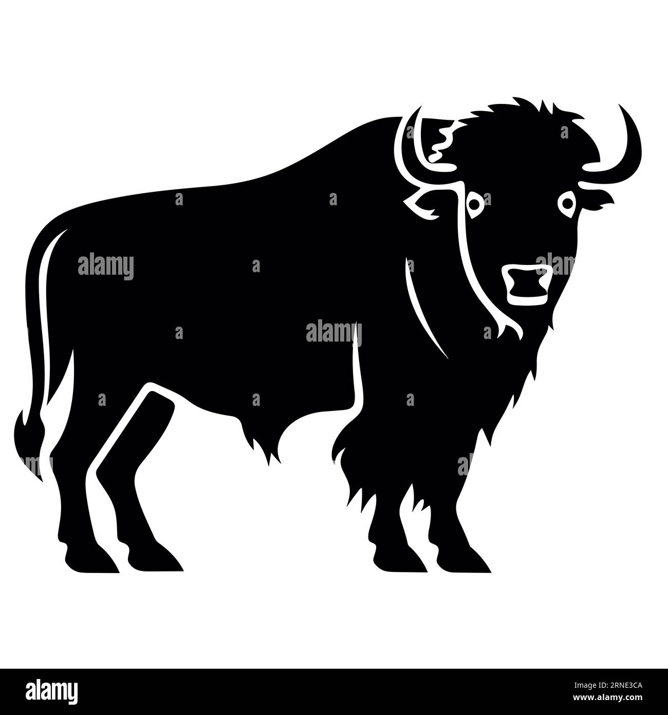 Buffalo portrait shadow hi-res stock photography and images - Alamy
