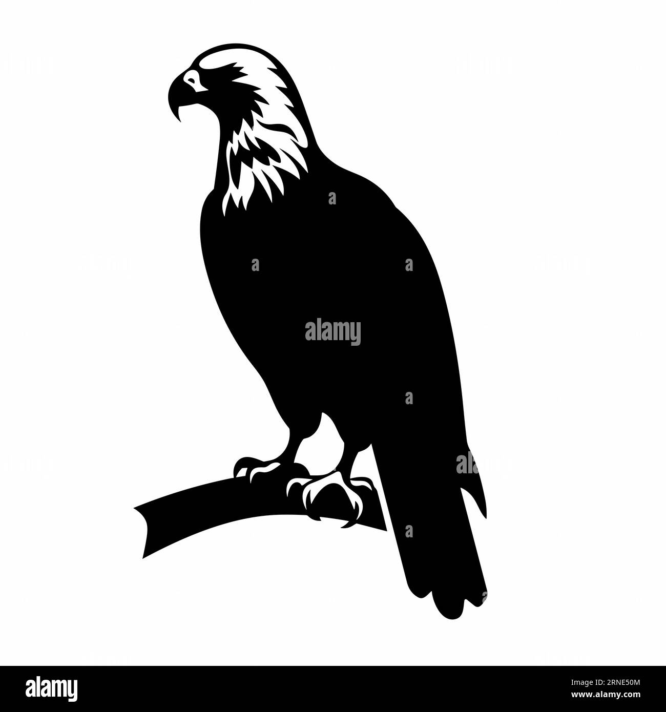 Hawk Clip Art Black And White