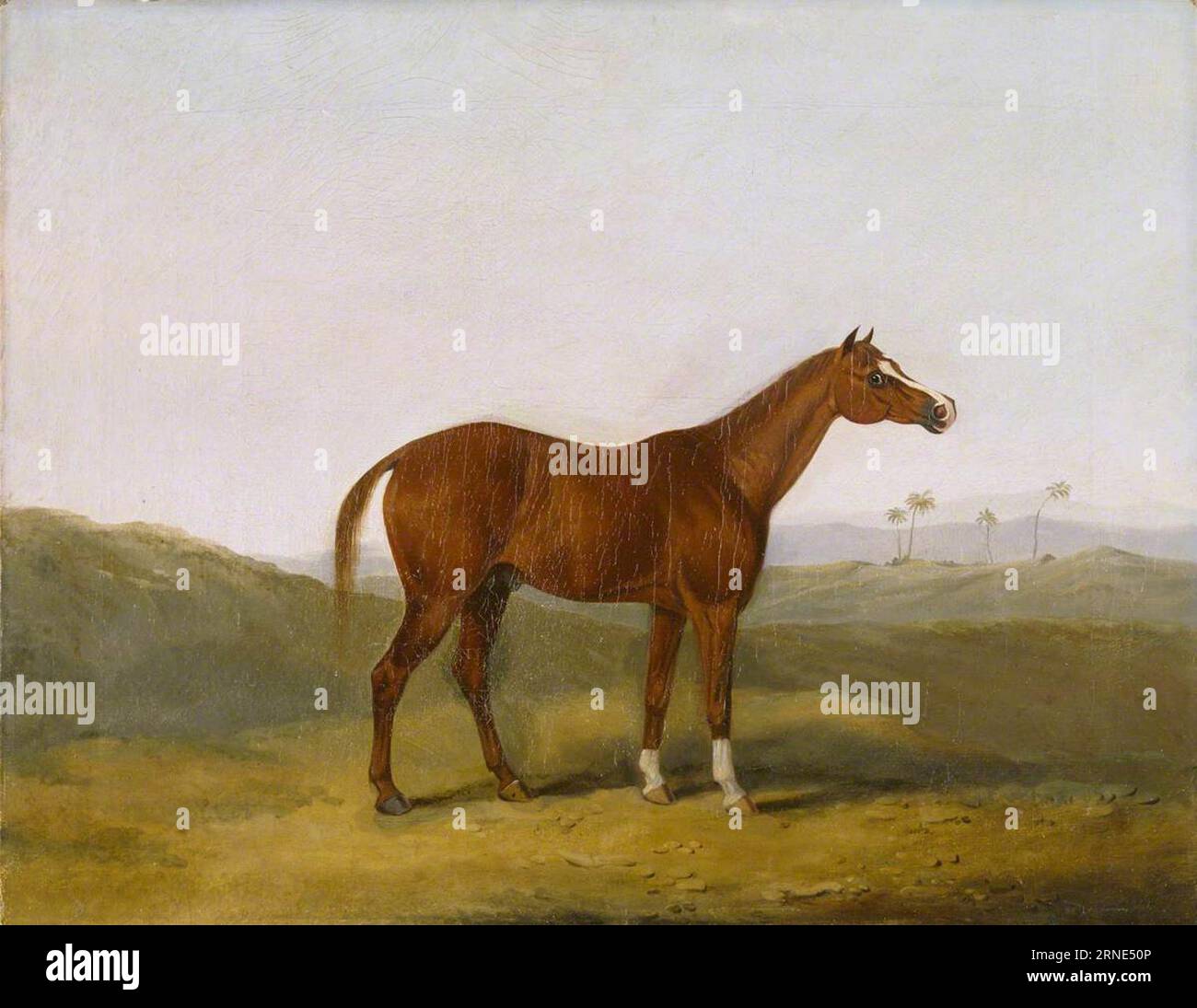 The Cole Arabian in an Indian Landscape circa 1810 by Charles Henry ...