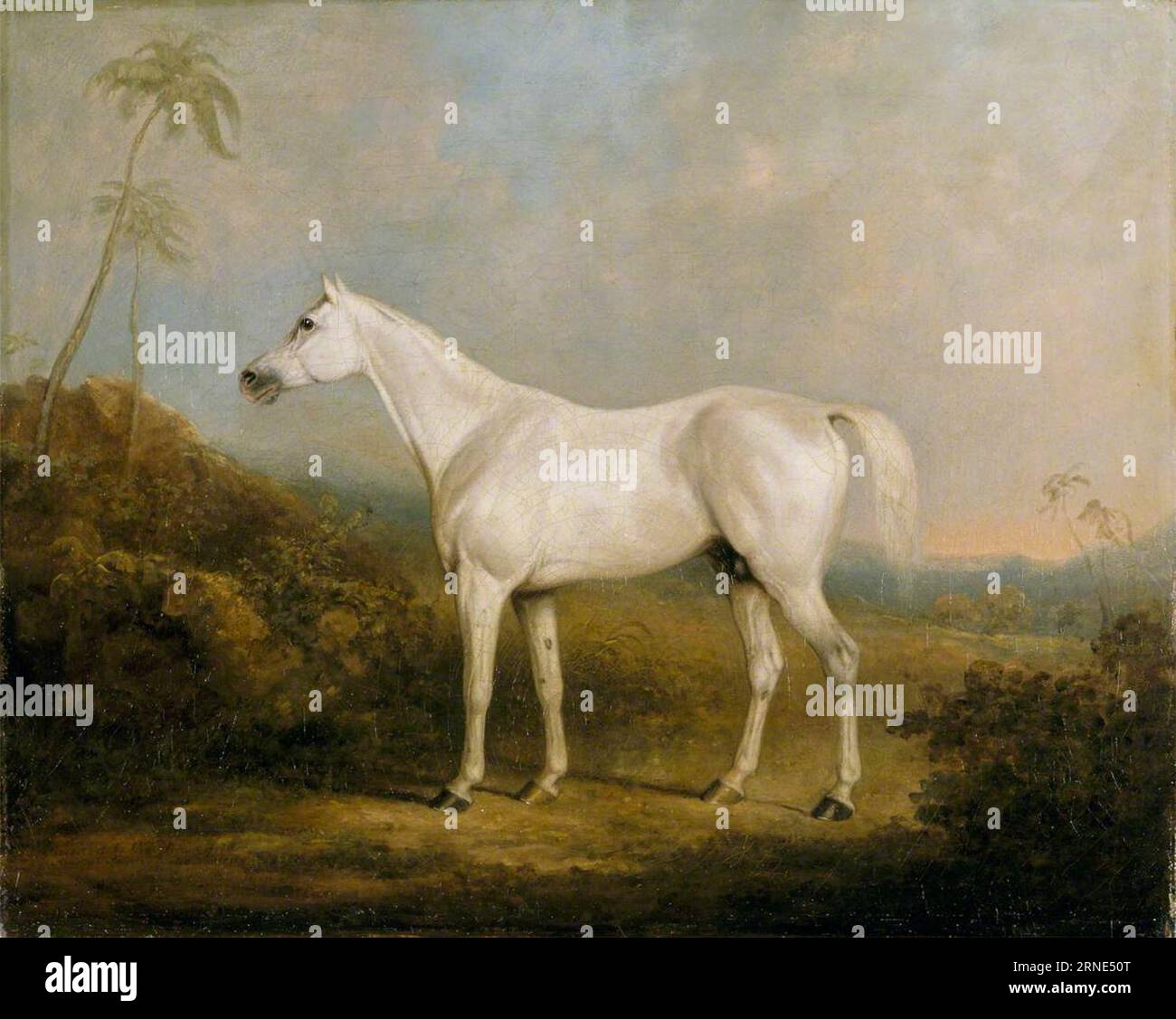 'Graniki', a Grey Arab Stallion in an Indian Landscape between 1800 and ...