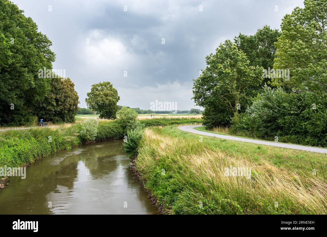 Trees reflecting in the bending River Demer, Langdorp, Flanders ...