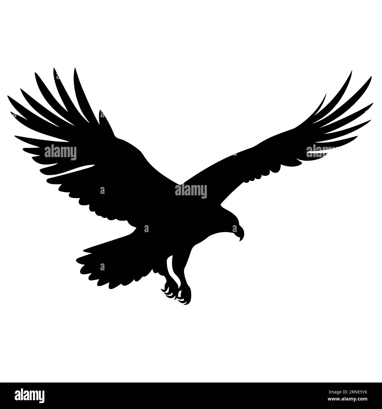 Hawk Silhouette