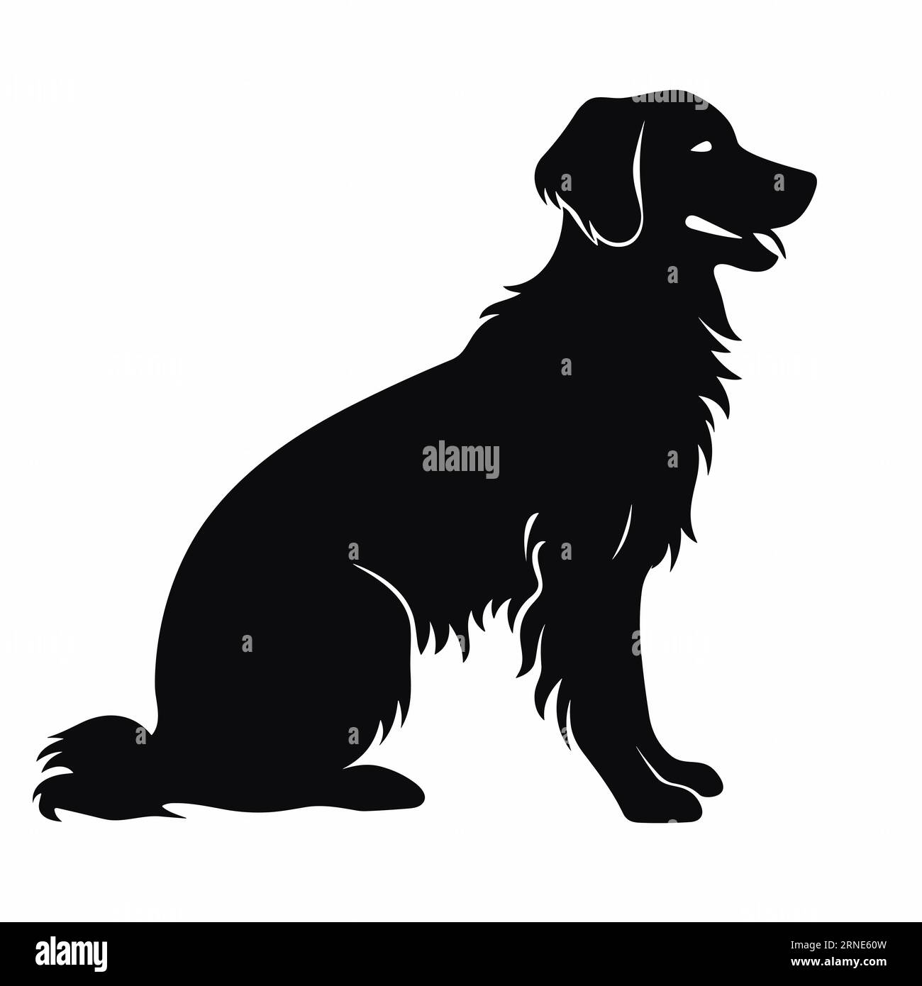 Golden retriever silhouette. Golden retriever black icon on white ...