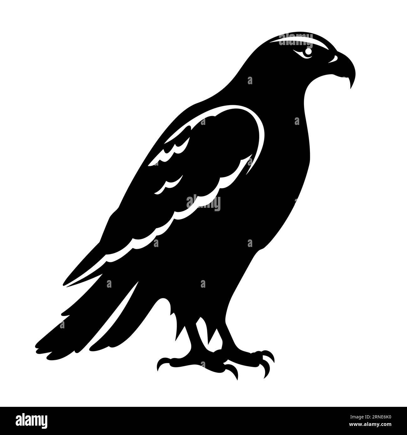 Hawk full body silhouette hi-res stock photography and images - Alamy