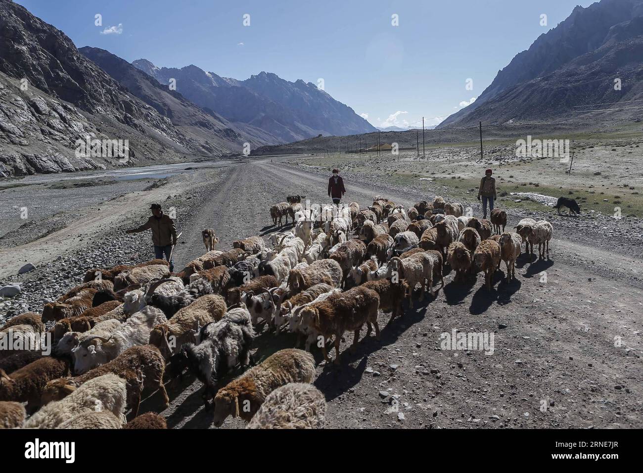 (160613) -- URUMQI, June 13, 2016 -- Twenty-three-year-old Wueryati of ...