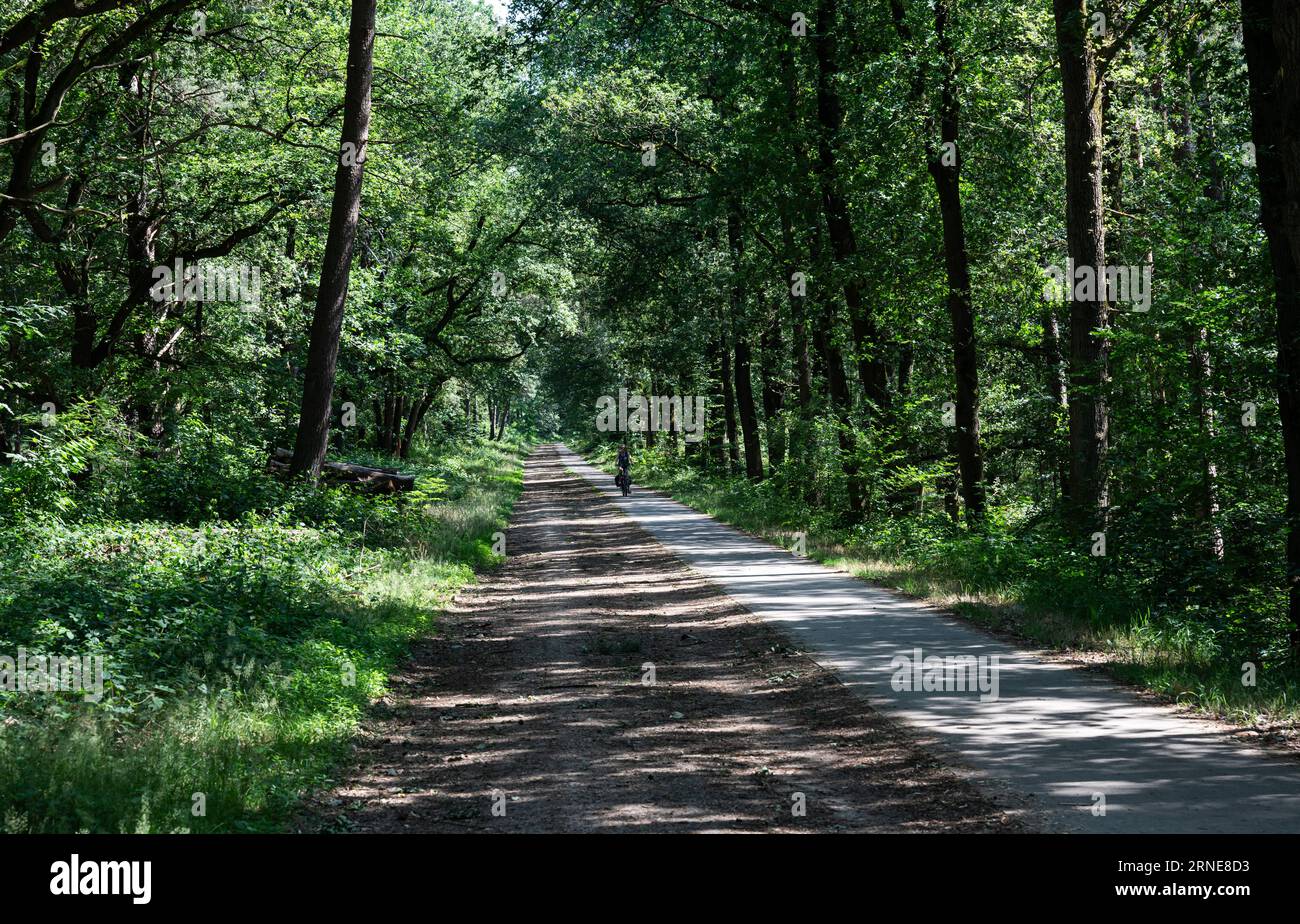Malden, Gelderland, The Netherlands, July 10, 2023 - Walking and ...