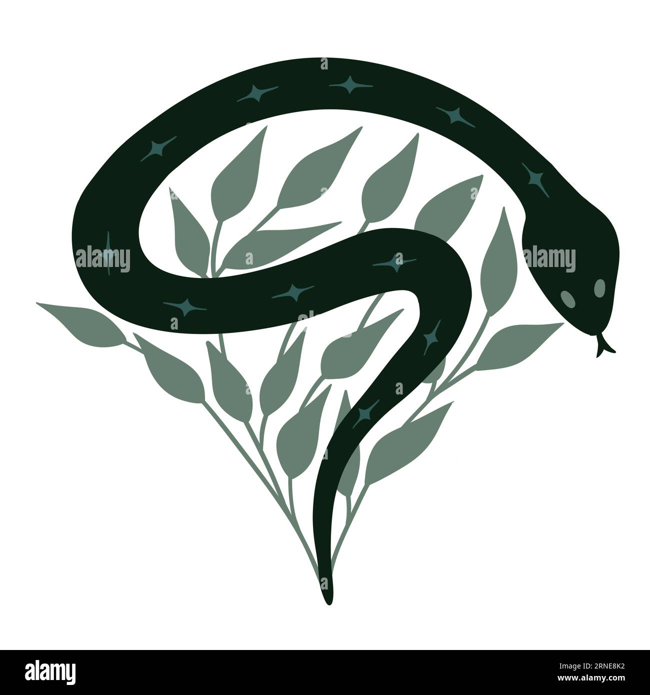 Hand drawn illustration of black snake on sage green background with ...