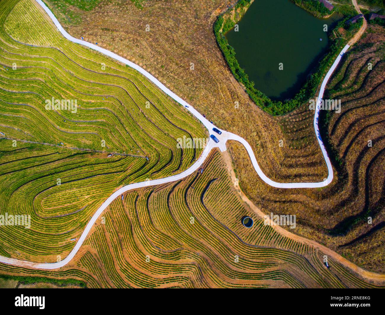 Planed city hi-res stock photography and images - Alamy