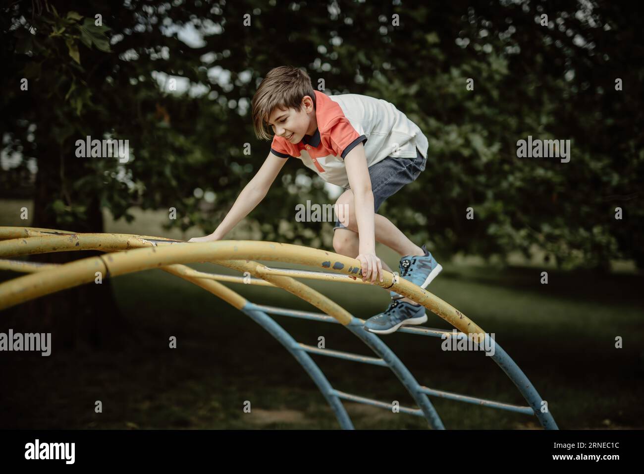 climb to the top of climbing frame build skills and fitness while ...