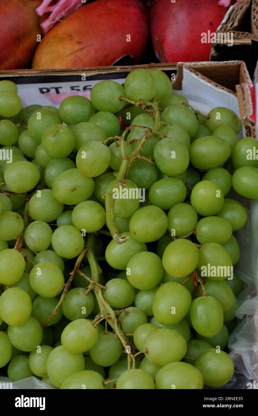 01 Sept. 2023/ Redn and green grapes fruit and Vegetable and fruit ...