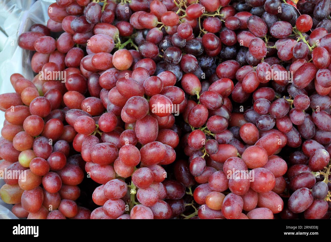 01 Sept. 2023/ Redn and green grapes fruit and Vegetable and fruit ...