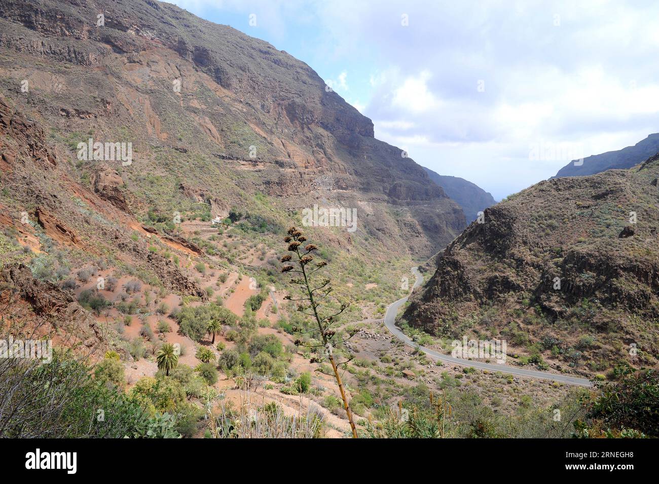 Ingenio horizontal hi-res stock photography and images - Alamy