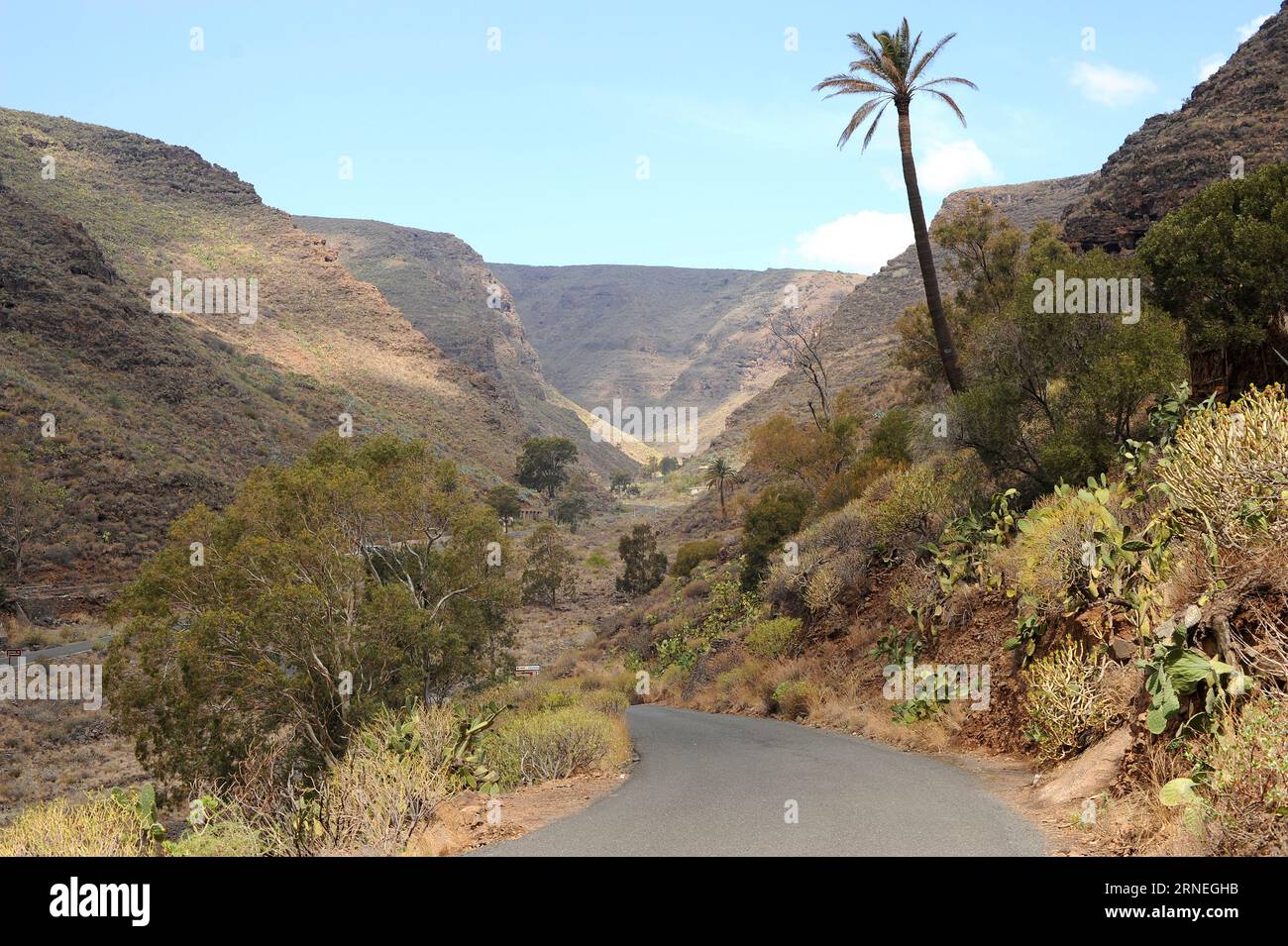 Guayadeque ravine is a Monumento Natural located between Agüimes and ...