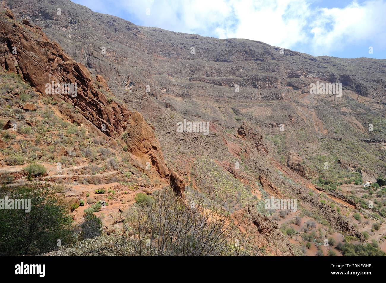Guayadeque ravine is a Monumento Natural located between Agüimes and ...