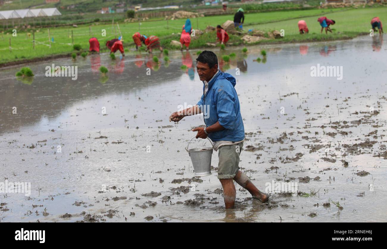 Nepal irrigation hi-res stock photography and images - Alamy