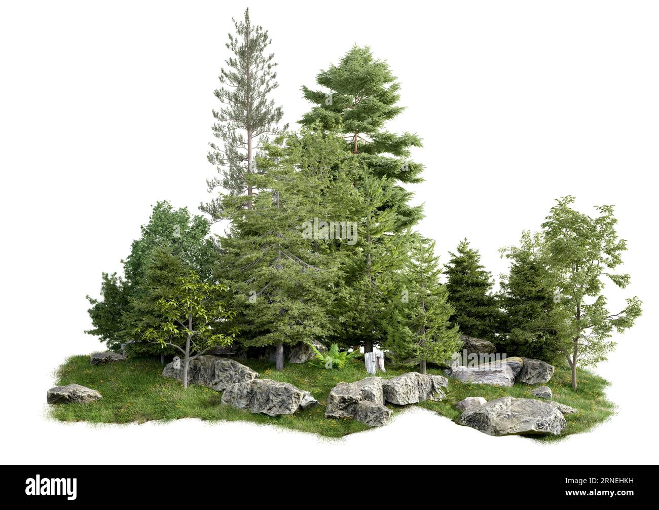 isolated cut out small forest and tree group on hill on white ...