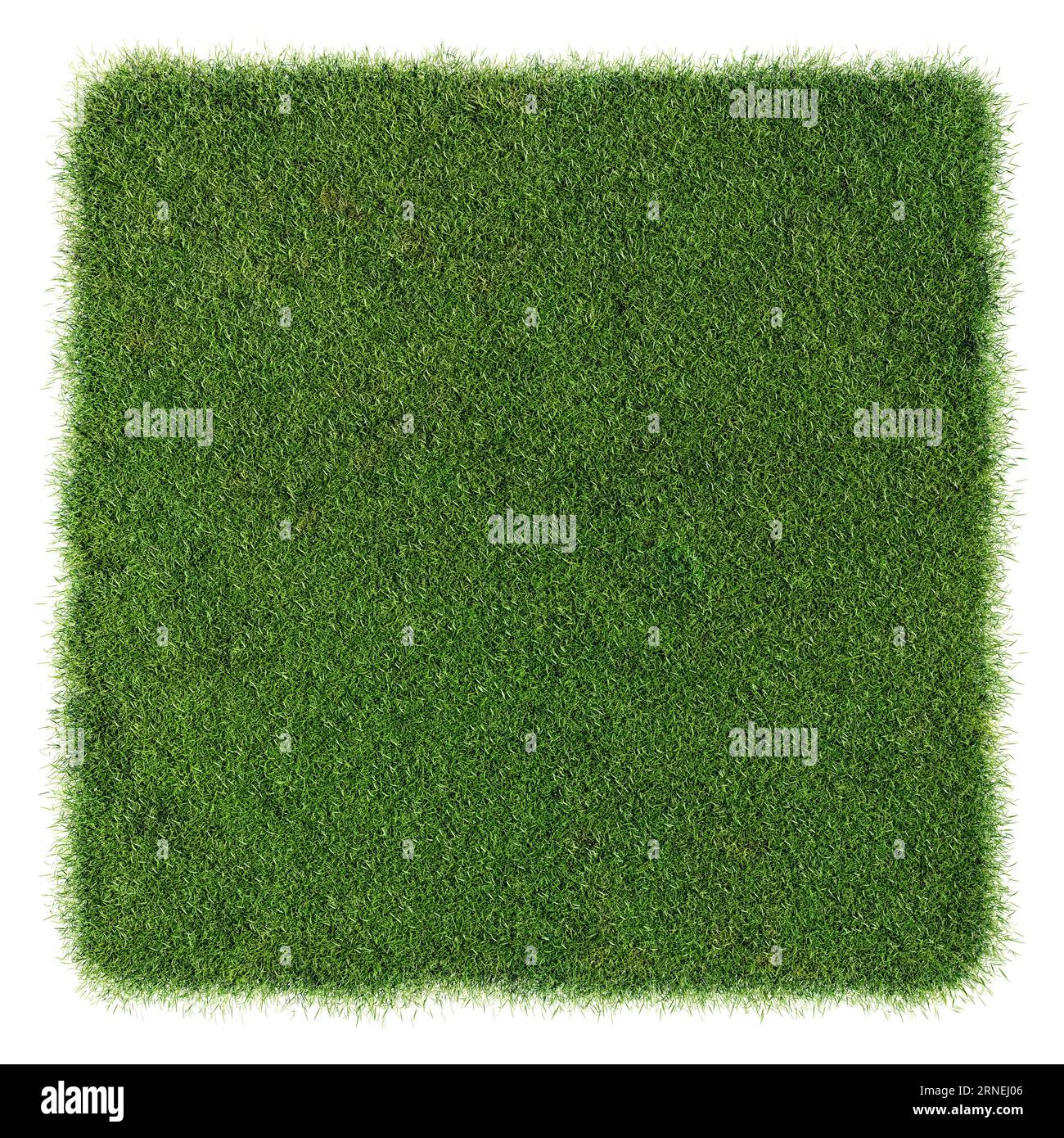 Grass Field Top View On White Background With Clipping Path 3d Illustration Rendering Stock