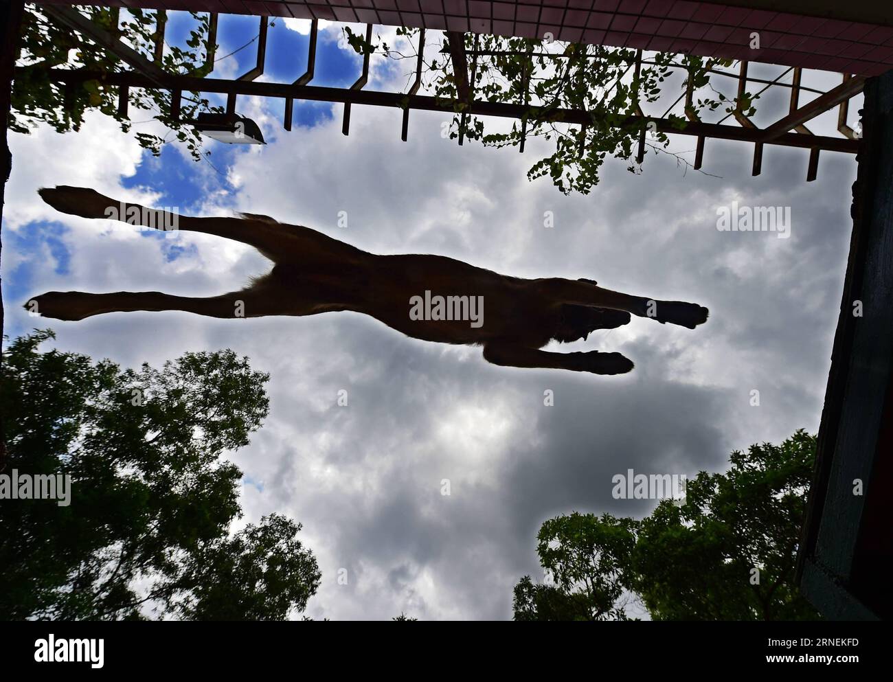 Border sou hi-res stock photography and images - Alamy