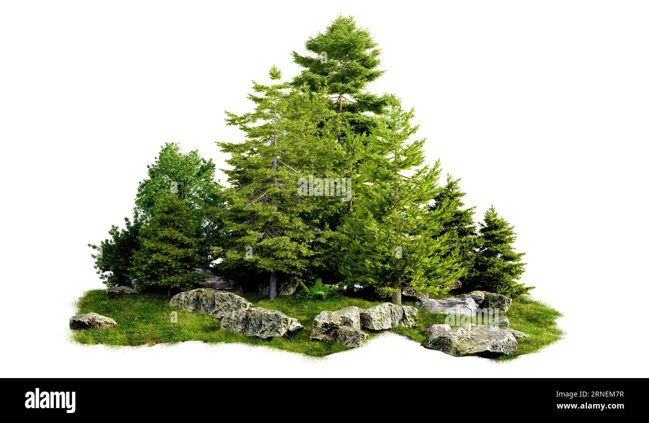 isolated cut out small forest and tree group on hill on white ...