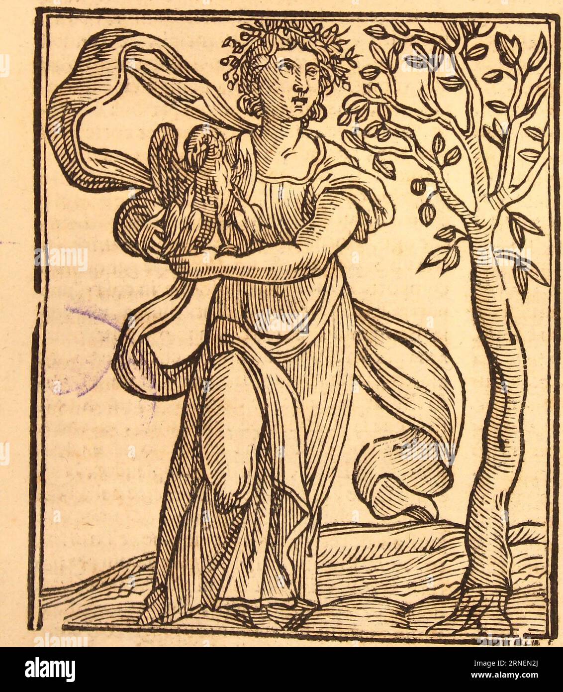 Iconology by Cesare Ripa, 1669 Stock Photo - Alamy