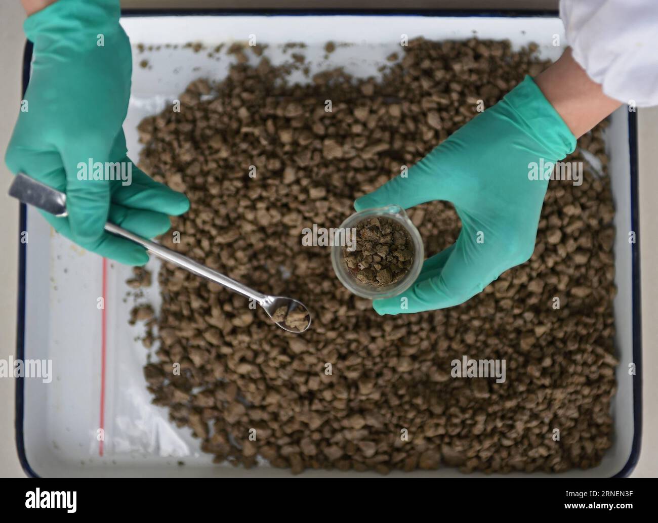 A technical staff analyzes soil samples in a soil remediation ...