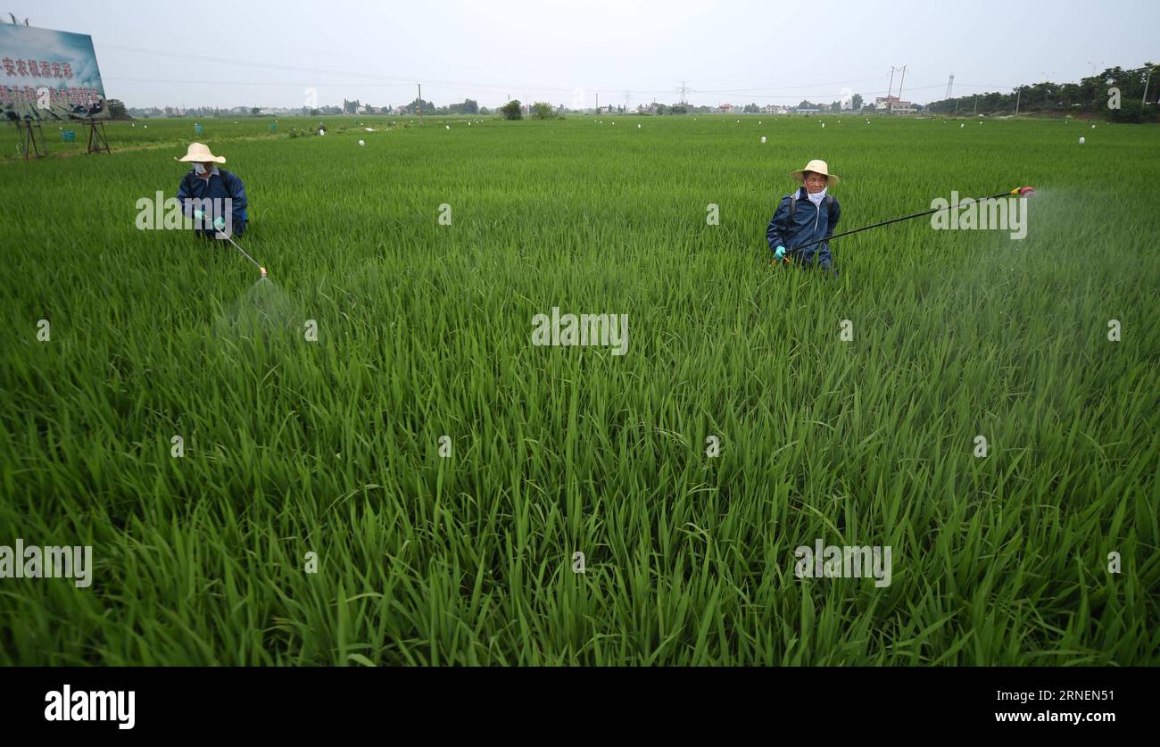Polluted field in china hi-res stock photography and images - Alamy