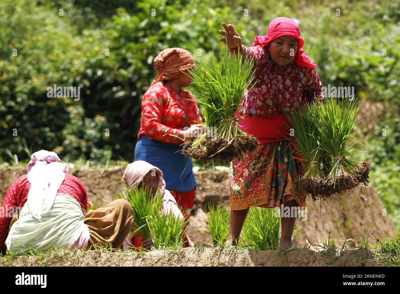 Asar 15 hi-res stock photography and images - Alamy