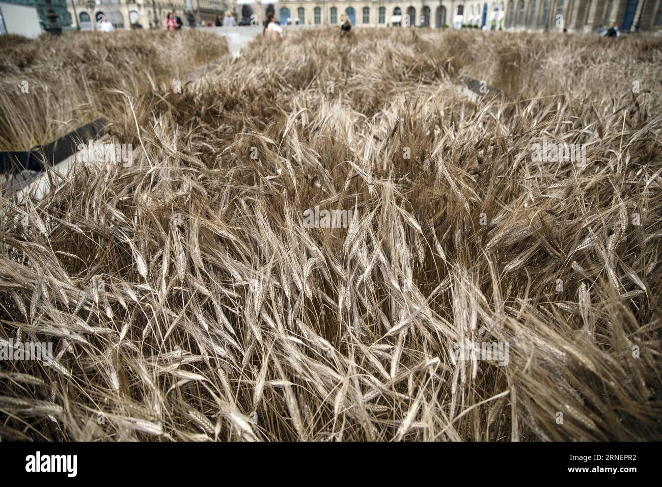PARIS, July 1, 2016 -- Photo taken on July 1, 2016 shows the art work ...
