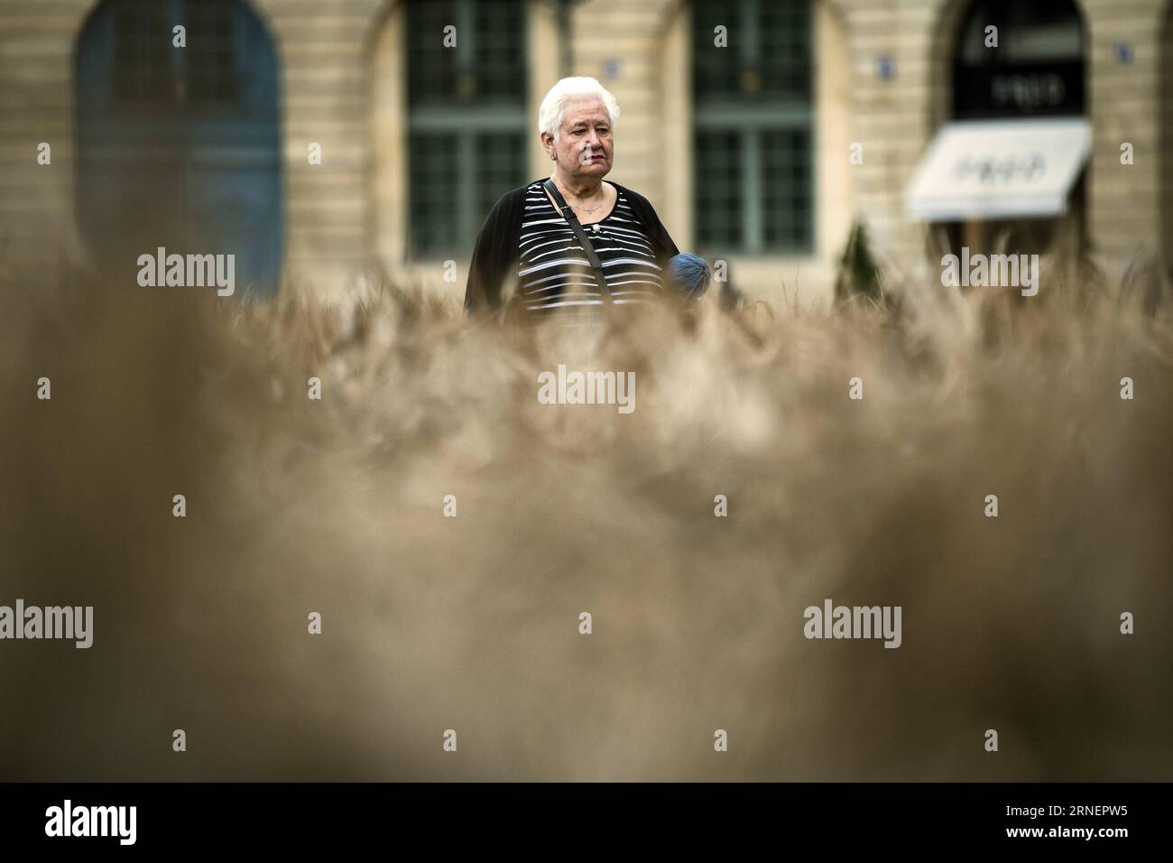 PARIS, July 1, 2016 -- A visitor stands among the art work of wheat ...