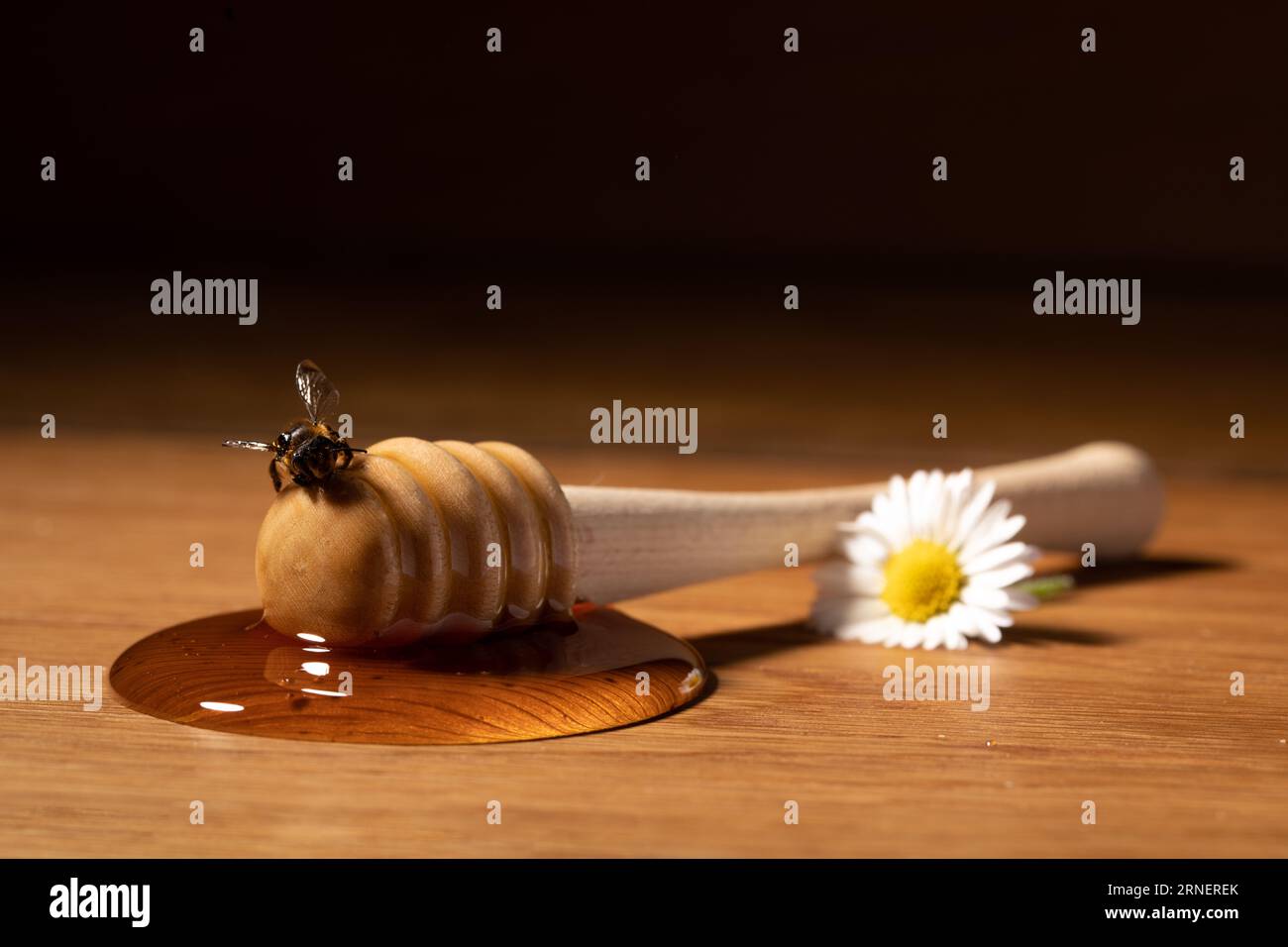 Wooden honey dripper spoon lie on table with blob underneath and bee ...