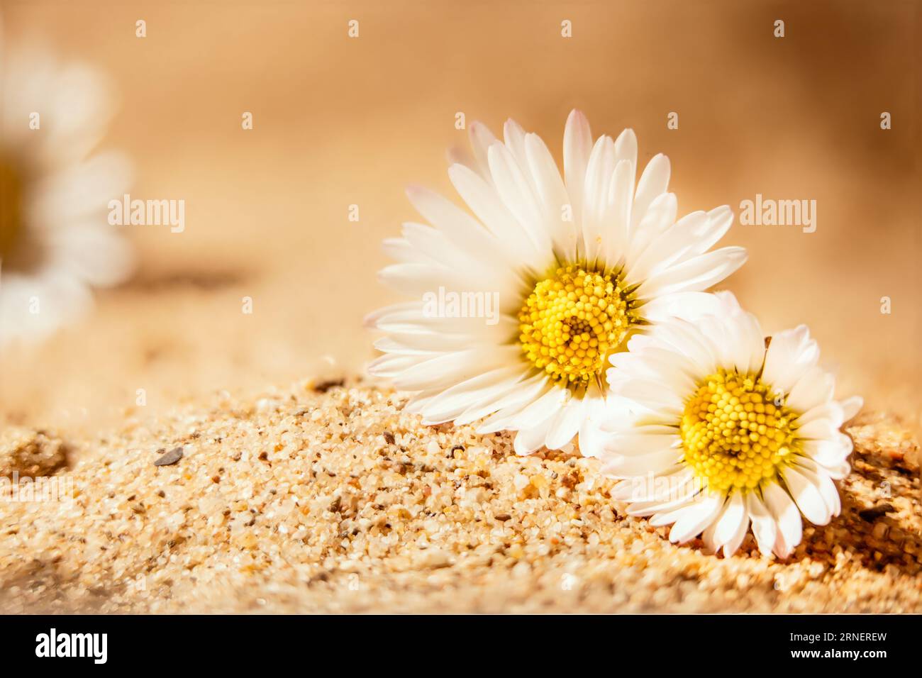 Postcard perfect scenery hi-res stock photography and images - Alamy