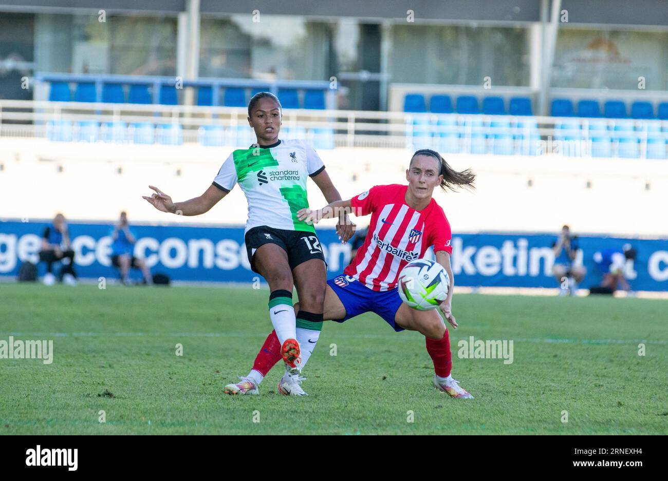 Taylor hinds liverpool fc hi-res stock photography and images - Alamy