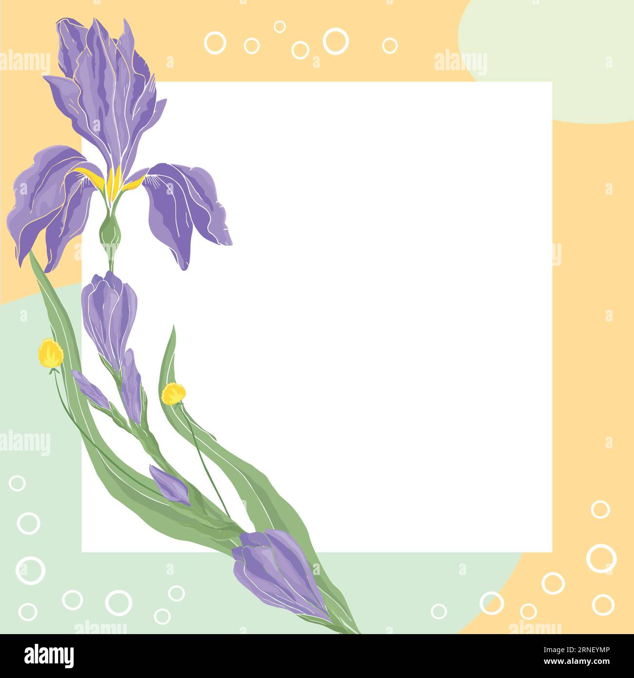 Iris floral template. Square frame with hand drawn flower. For cards ...