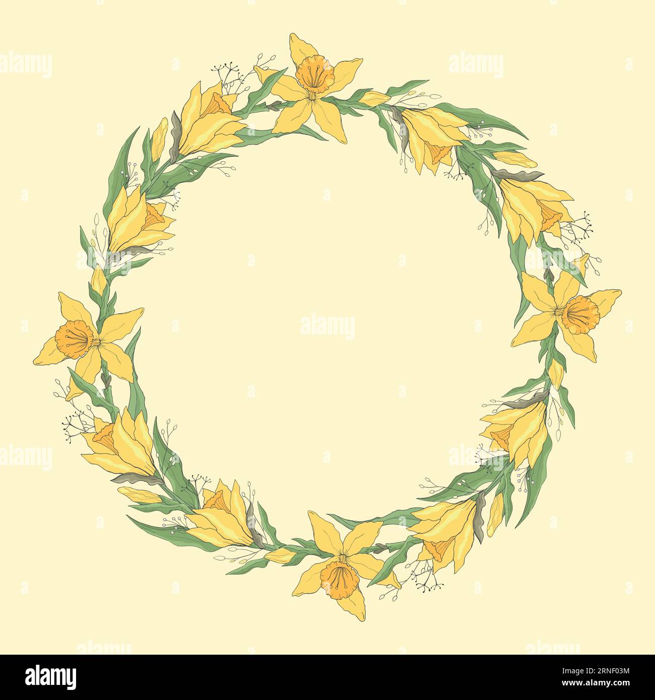 Daffodil wreath template. Narcissus. Vector hand drawn floral round ...