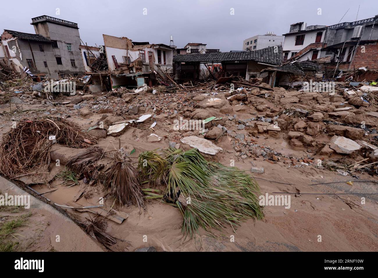 Crops destroyed by flooding hi-res stock photography and images - Alamy