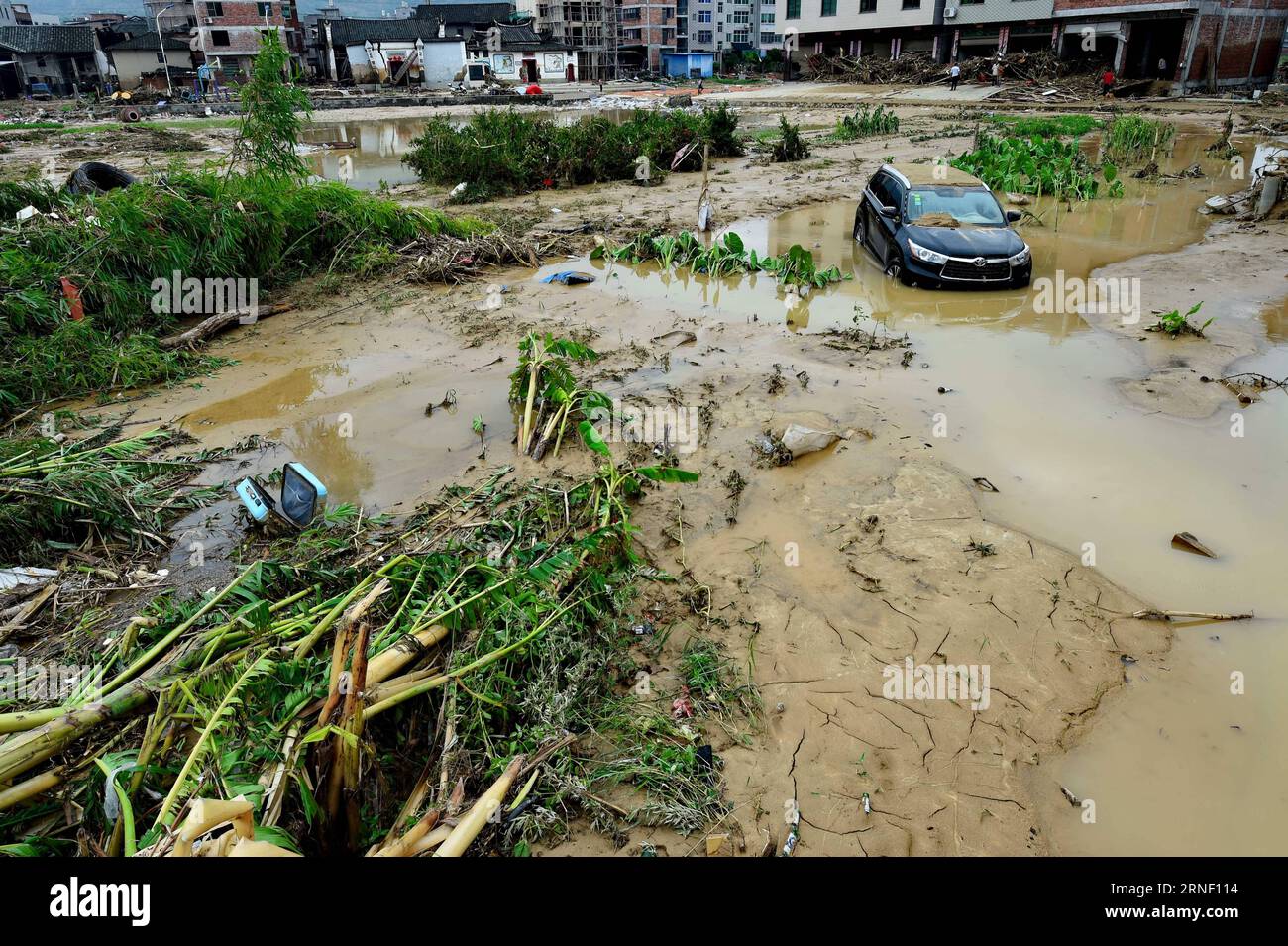 Crops destroyed by flooding hi-res stock photography and images - Alamy