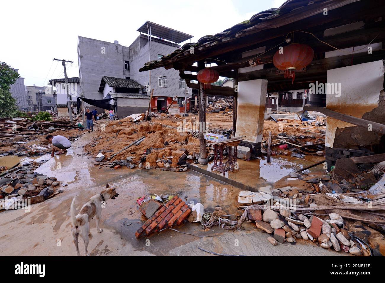 Crops destroyed by flooding hi-res stock photography and images - Alamy