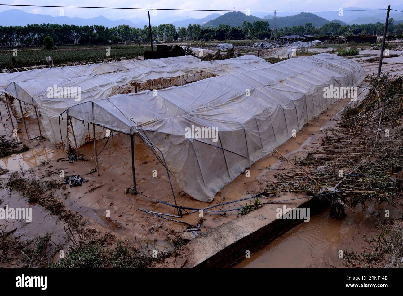 Crops destroyed by flooding hi-res stock photography and images - Alamy